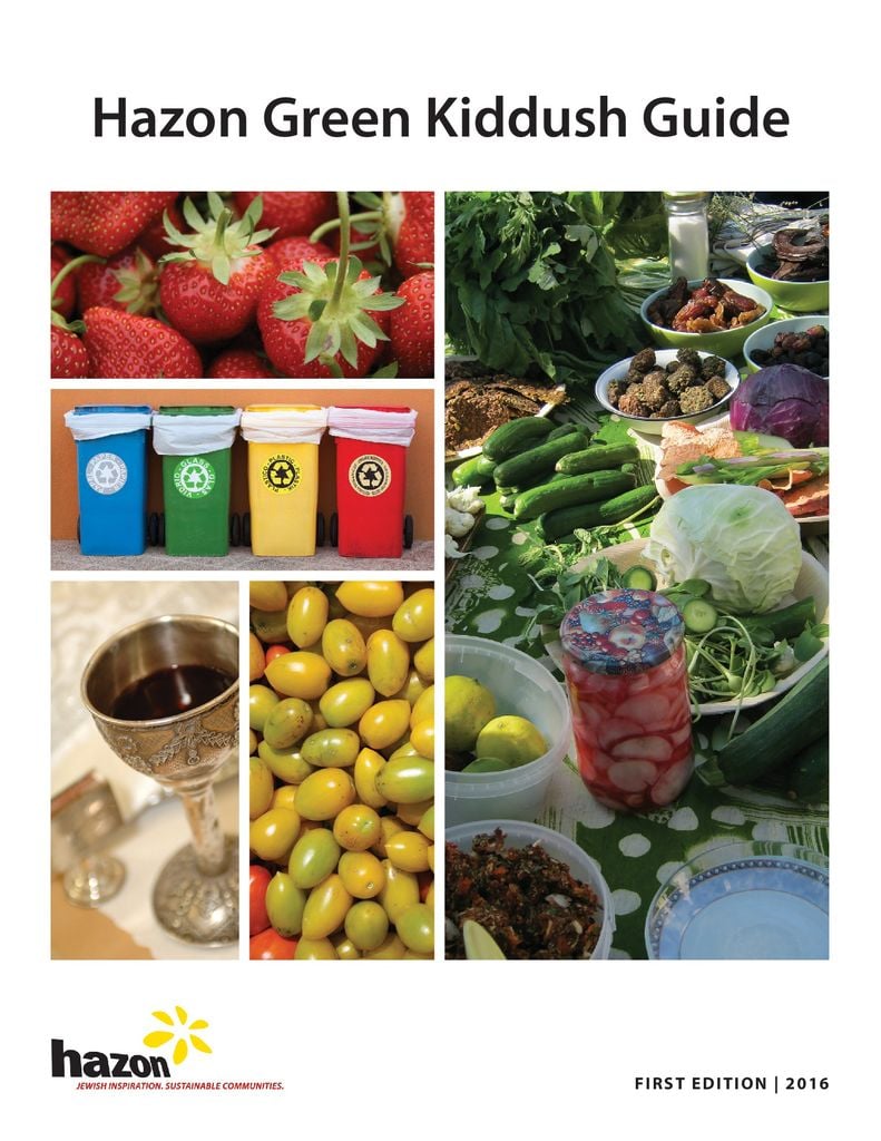 Hazon Green Kiddush Guide | Adamah store