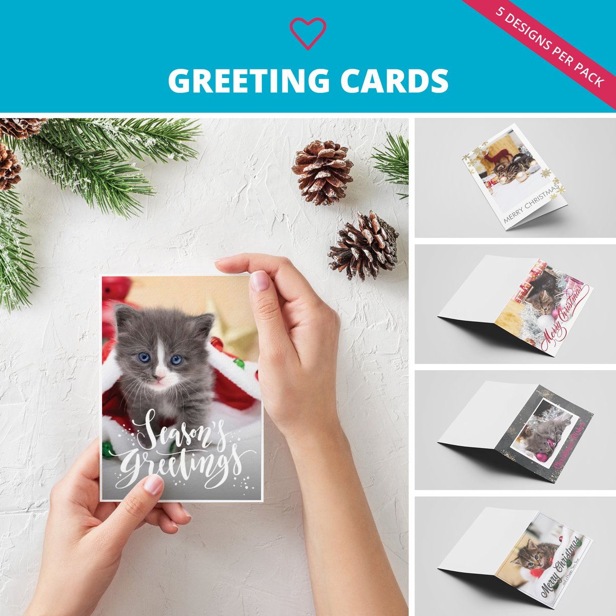 2nd Chance Cat Rescue — Christmas Cards - 10 Pack 2nd Chance Cat Rescue — Christmas Cards - 10 Pack