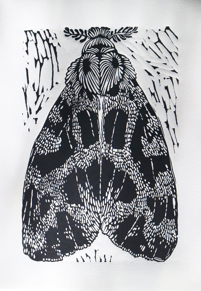 Night Wave – Screen Print | natasharussell