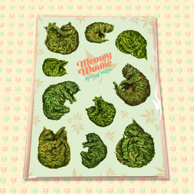 Products | Casey Weldon
