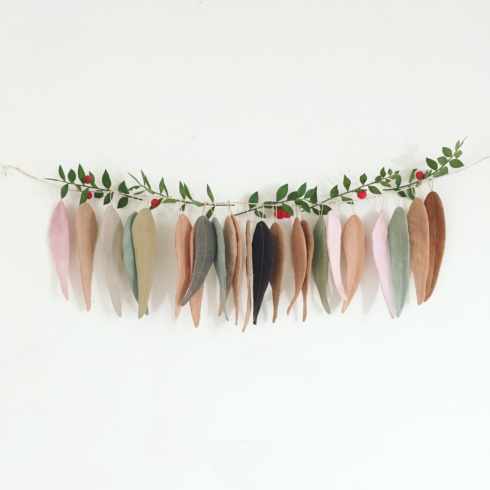 cocon Eucalyptus / cocon