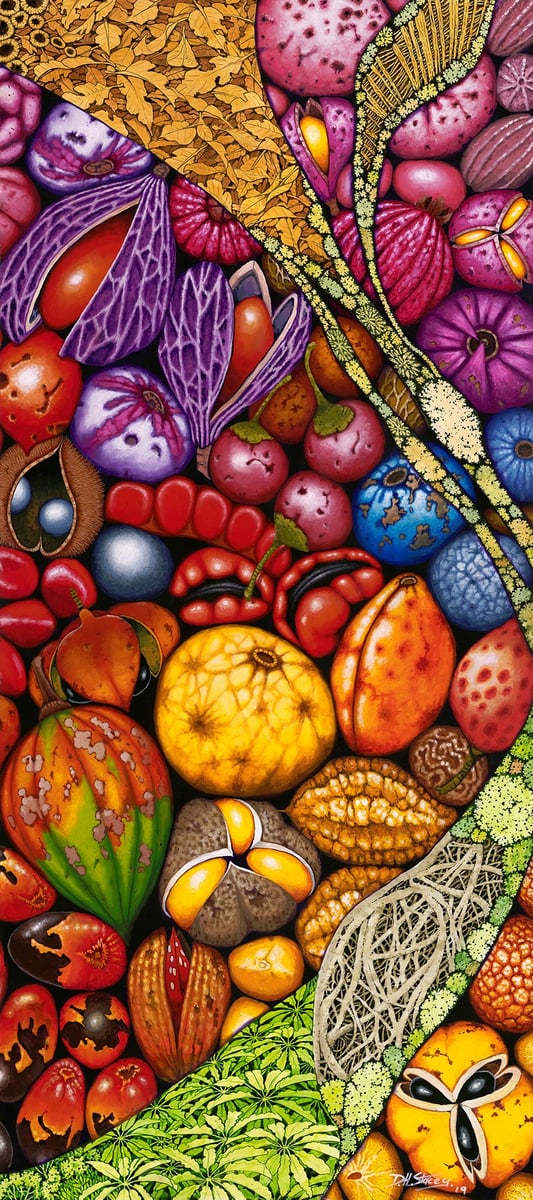 Acrylic Face Mounts - Limited Edition | David H Stacey Art Gallery