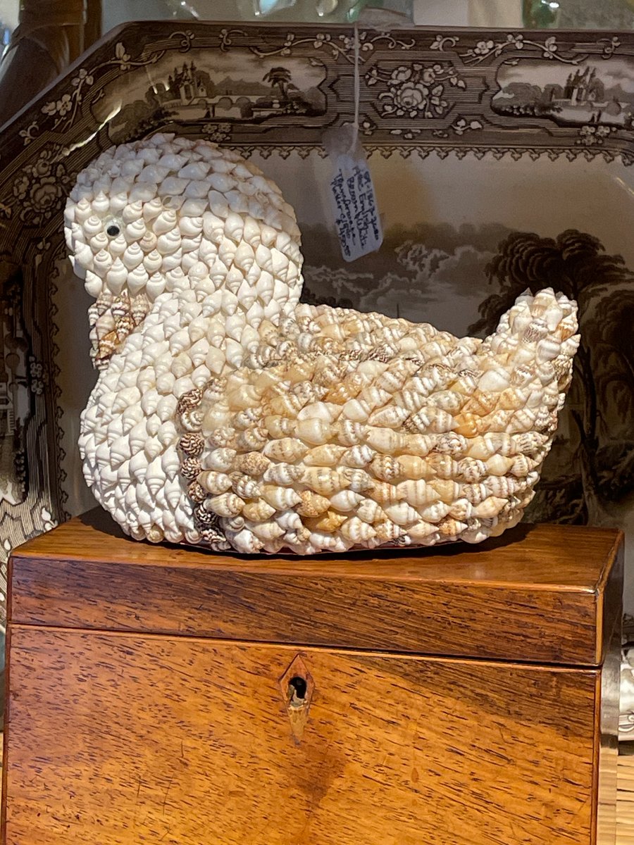 Shell Duck | Thoroughbred Antique Gallery