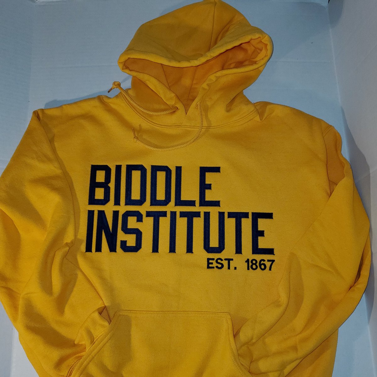 Biddle Institute Hoodie | PresherInk
