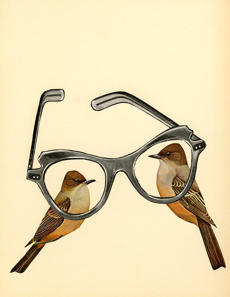 Bird Nerds. Limited edition collage print. | VivienneStrauss