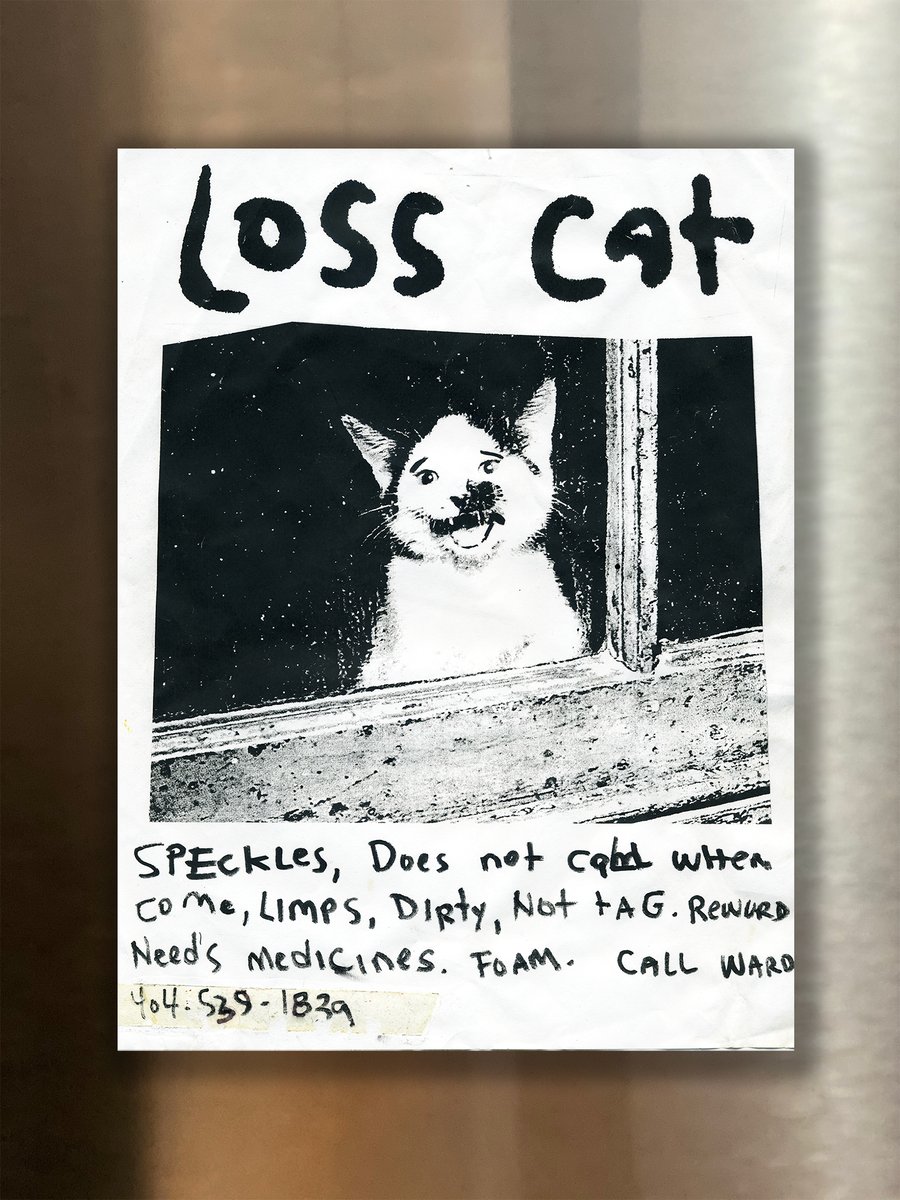Deluxe Loss Cat Magnetic Art | R. Land