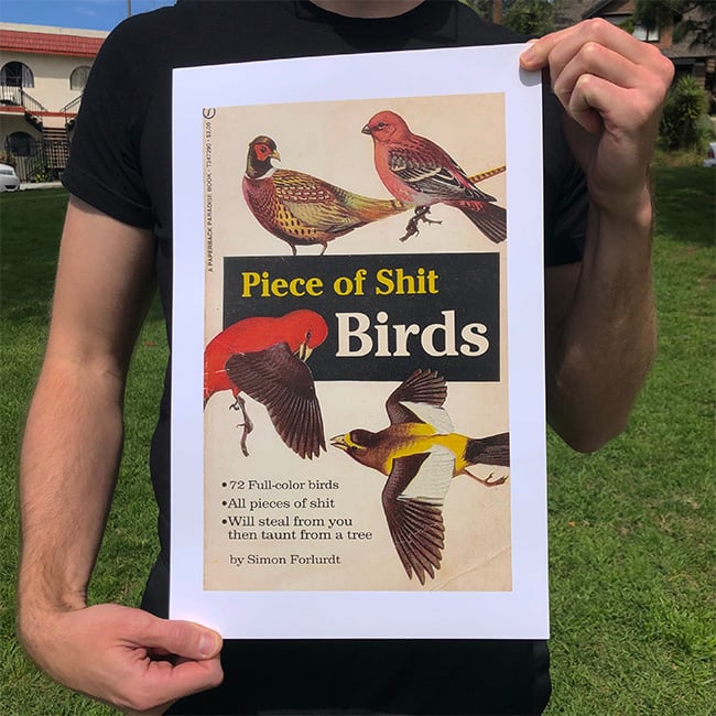 Piece of Shit Birds - 11 x 17 Print | Paperback Paradise