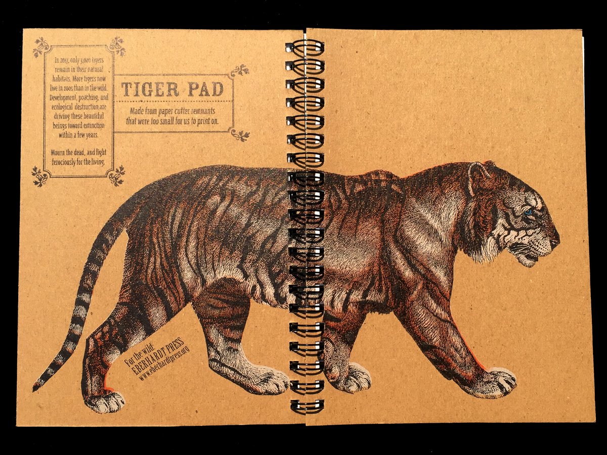 Tiger Notebook | Eberhardt Press