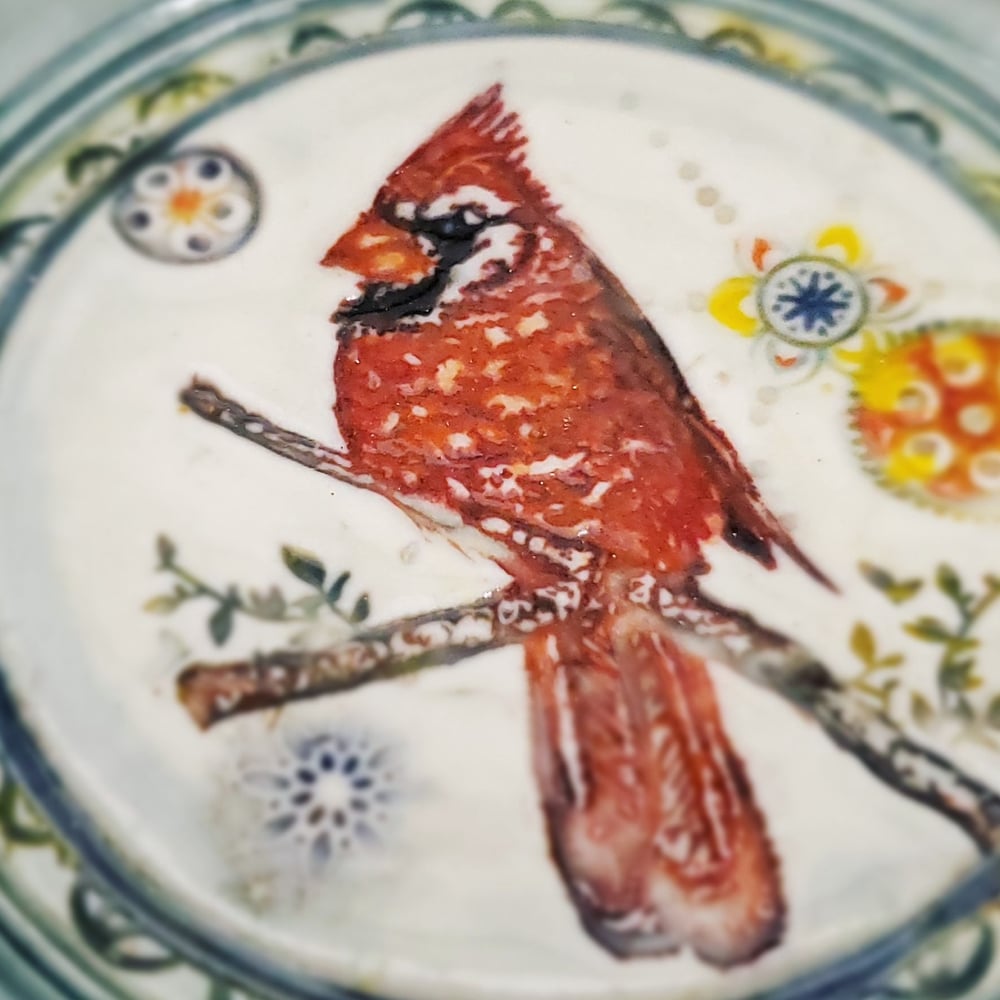 Cardinal Porcelain Dish / Janis Cutler Gear