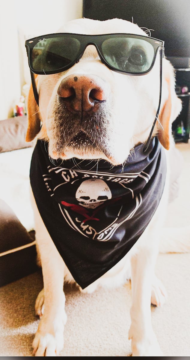 Bandana | High Boltage Customs