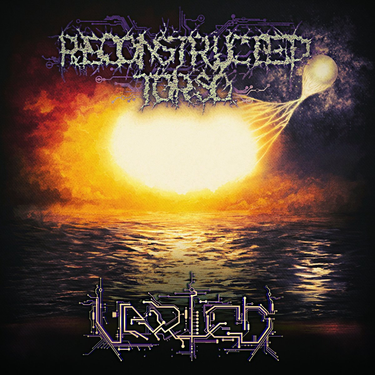 RECONSTRUCTED TORSO-VARIED CD | PATHOLOGICALLY EXPLICIT