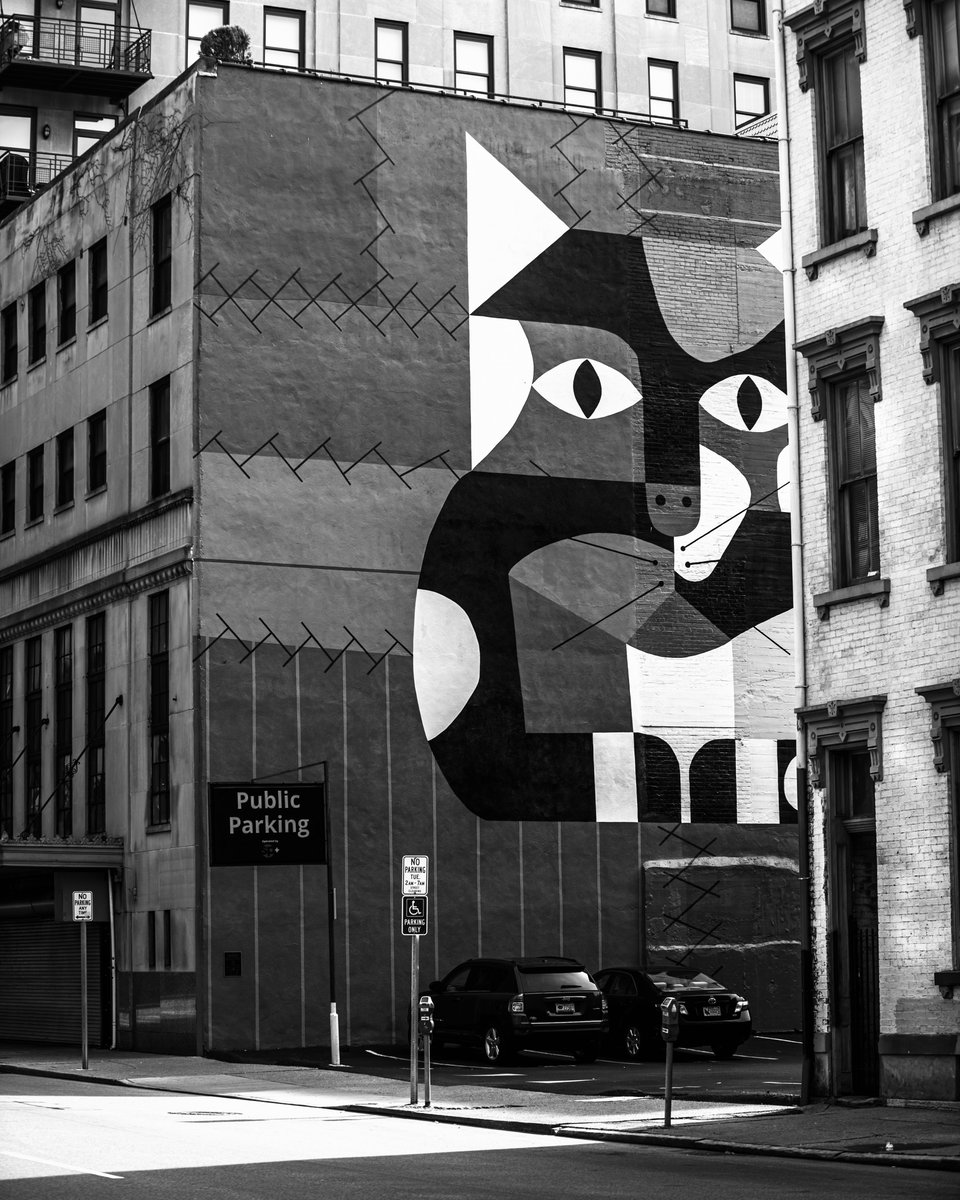 Salutations, Feline | CallMeRideout