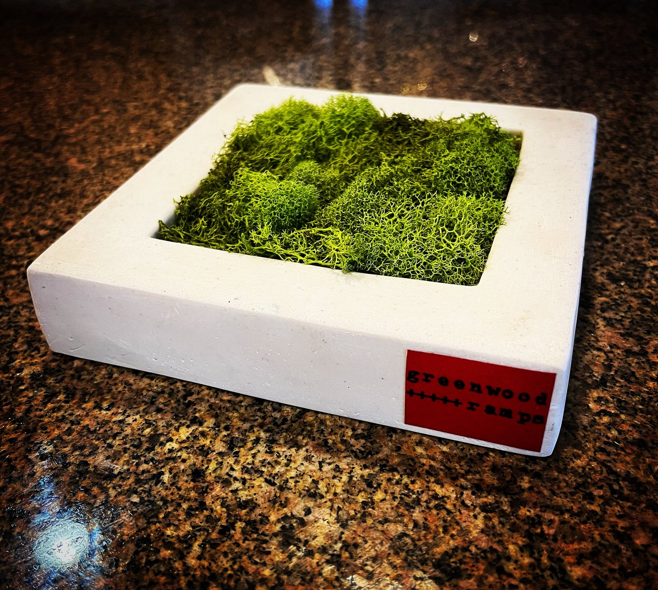 CERAMIC TILE PLANT LEDGE | Greenwood Ramps