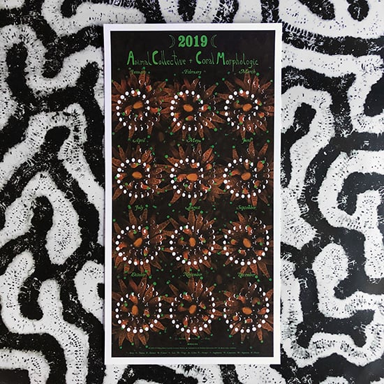 Animal Collective + Coral Morphologic 2019 Lunar Phase Poster | Coral ...
