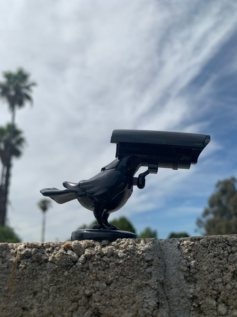 Pigeon Camera | Toymanjohnny