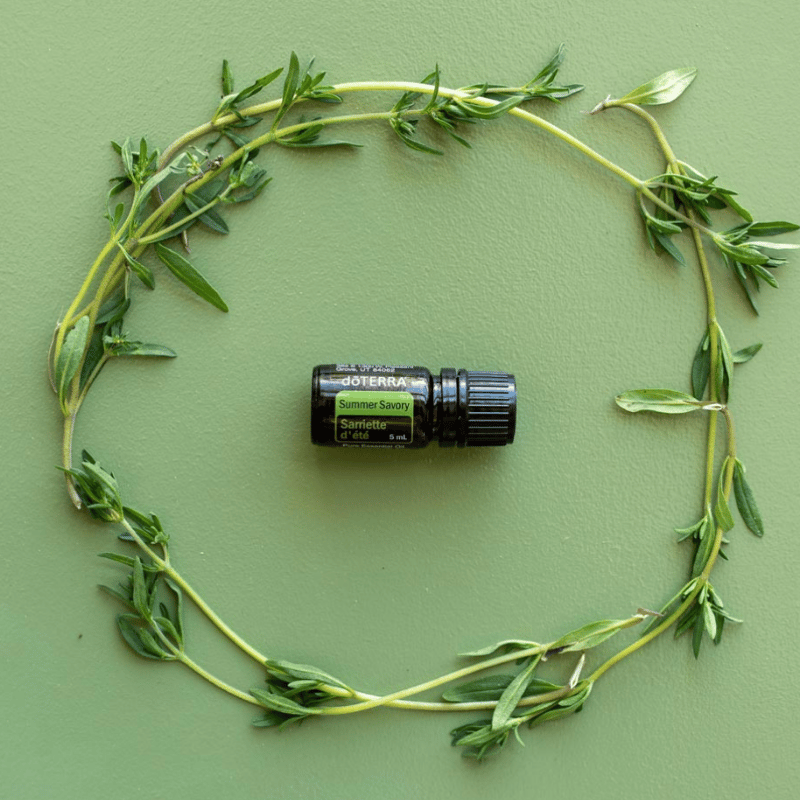 SUMMER SAVORY Essential Oil | VIBRANT DAY