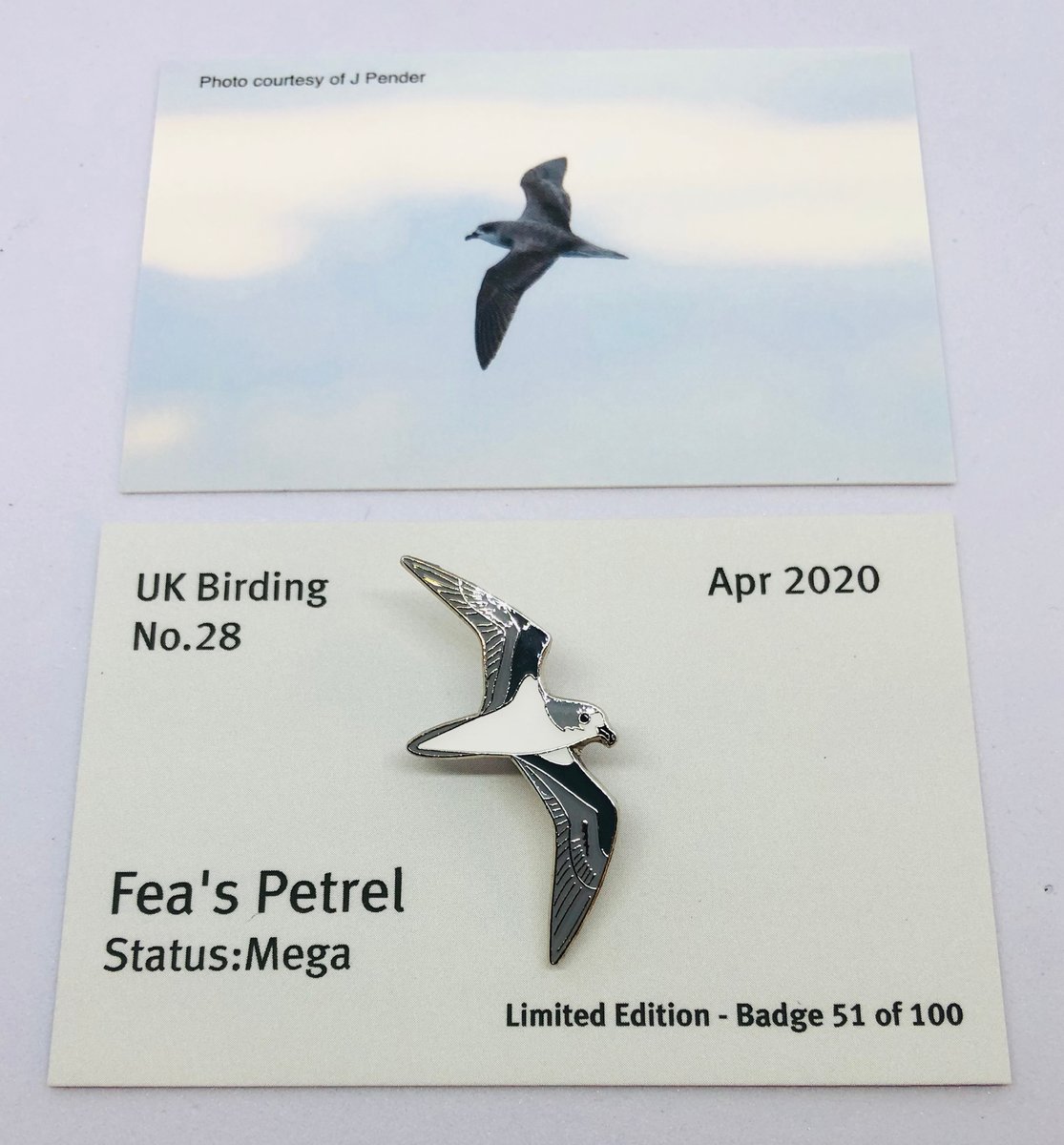 Fea’s Petrel - April 2020 | UK Birding Pins