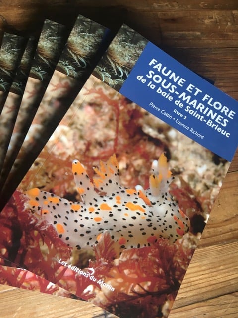 Faune et flore sous-marines de la baie de Saint-Brieuc Livre 2 | leseditionsdumarlin