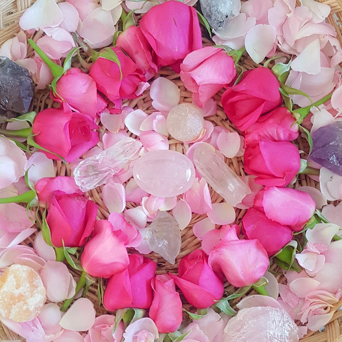 Crystal Rose Frequency Package via Distance ~x2 sessions x1 home ...