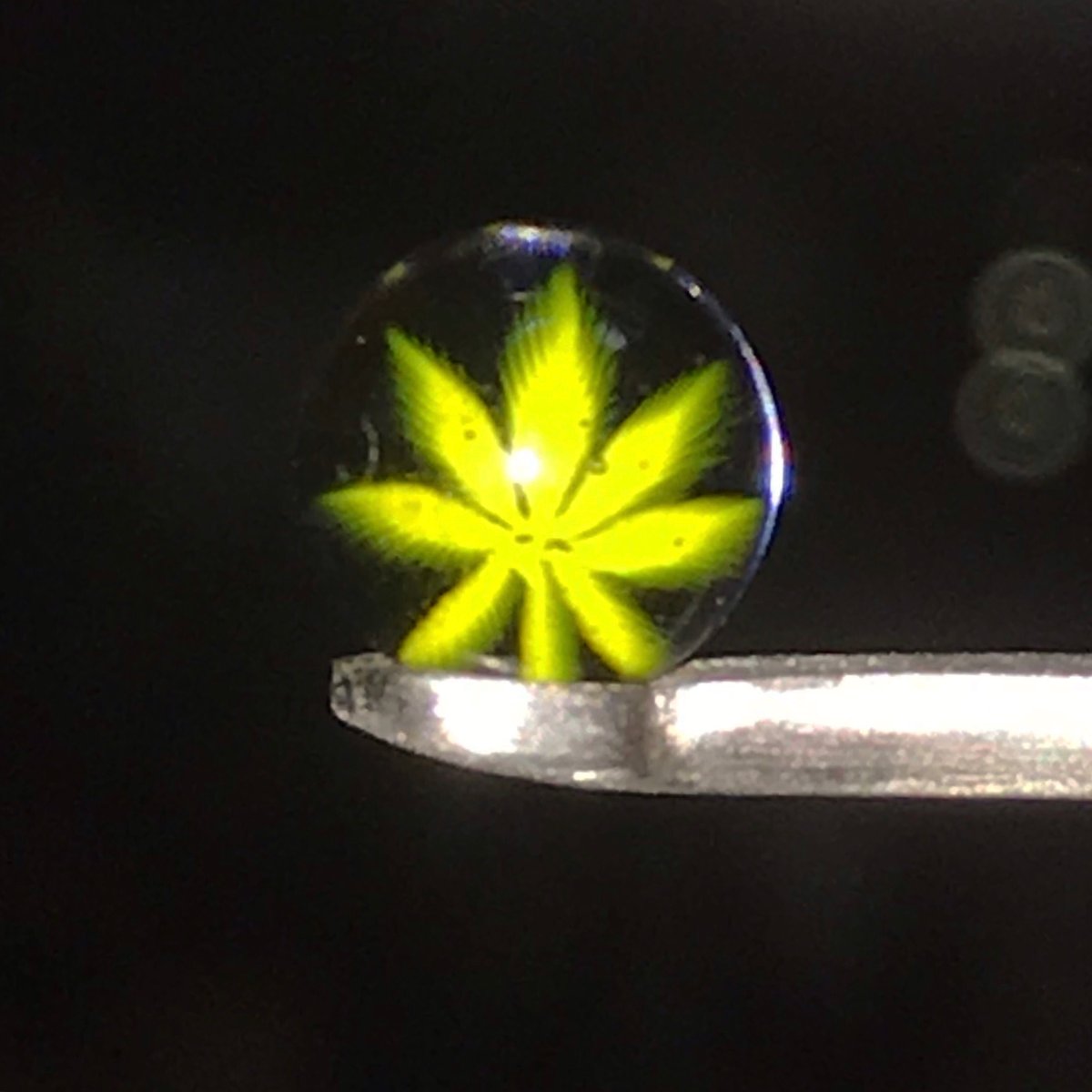 Cannabis Leaf Terp Pearls | The Terp Pearl Store