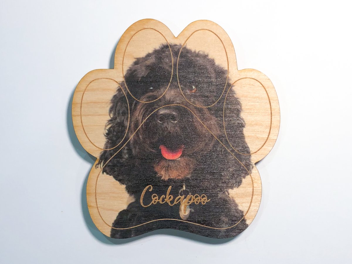 Cockapoo Magnet | Rock Lion Goods