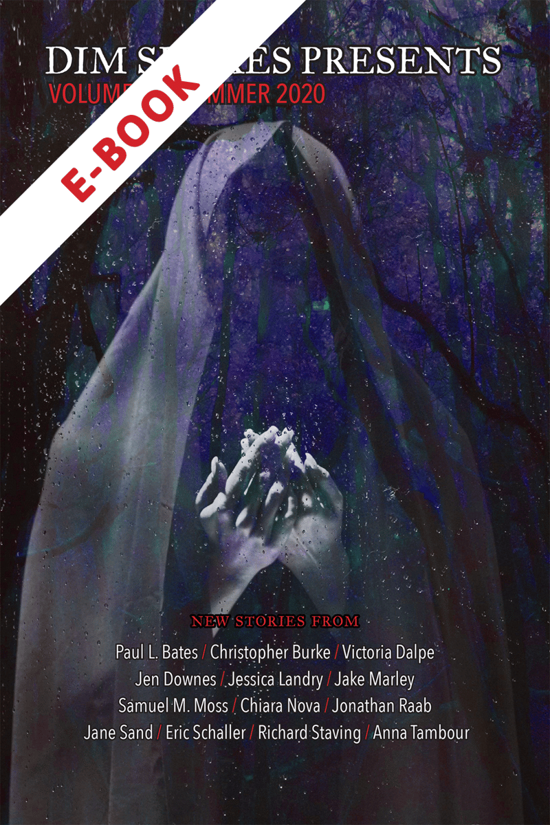 Dim Shores Presents Volume 1 (E-book) | Dim Shores