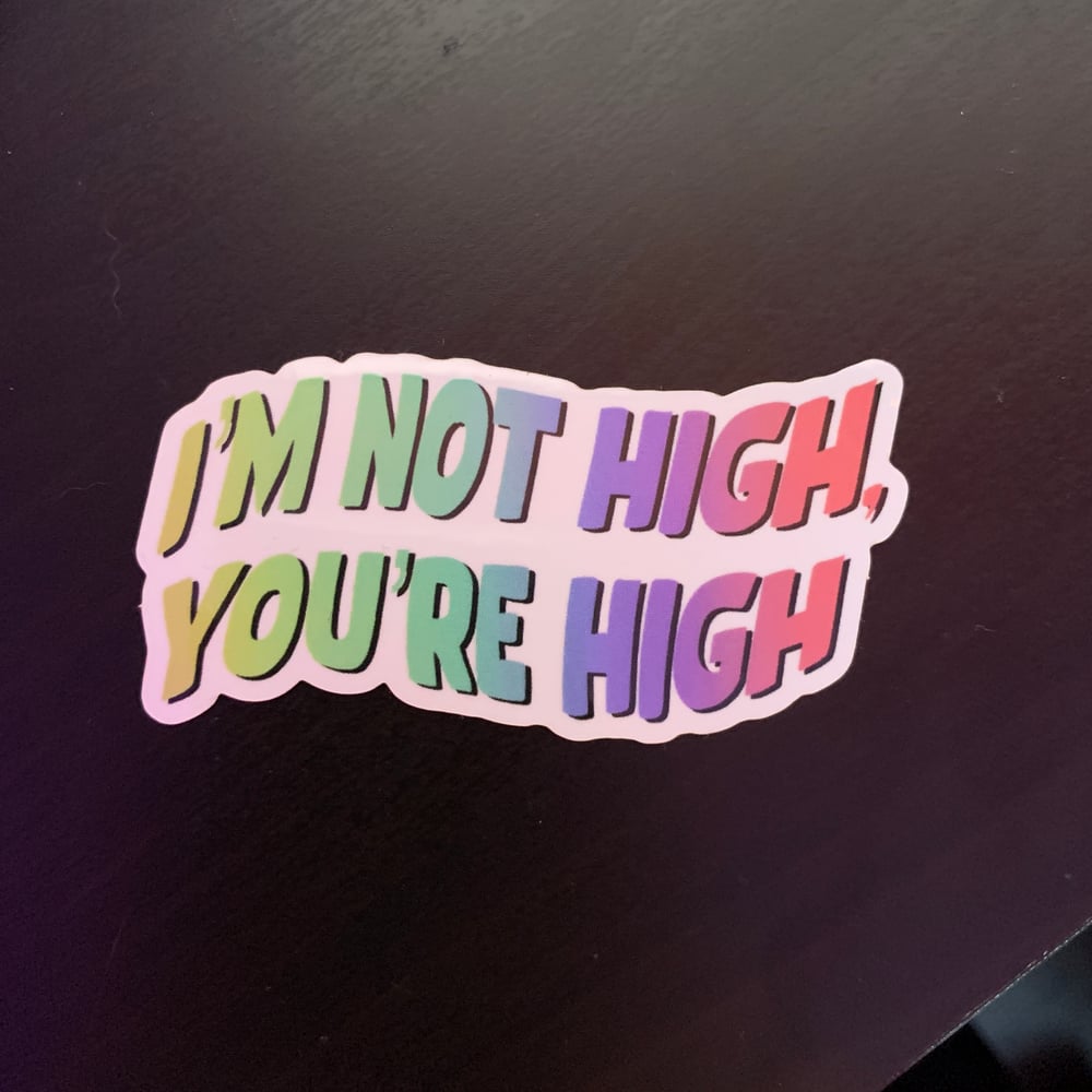 3” x 1.6” vinyl sticker “I’m not high, you’re high” | TieDyed Adventures