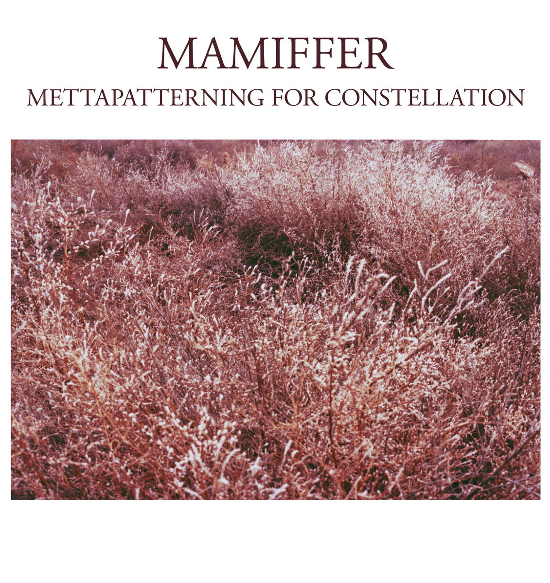 Mamiffer "Mettapatterning for Constellation" LP | SIGE