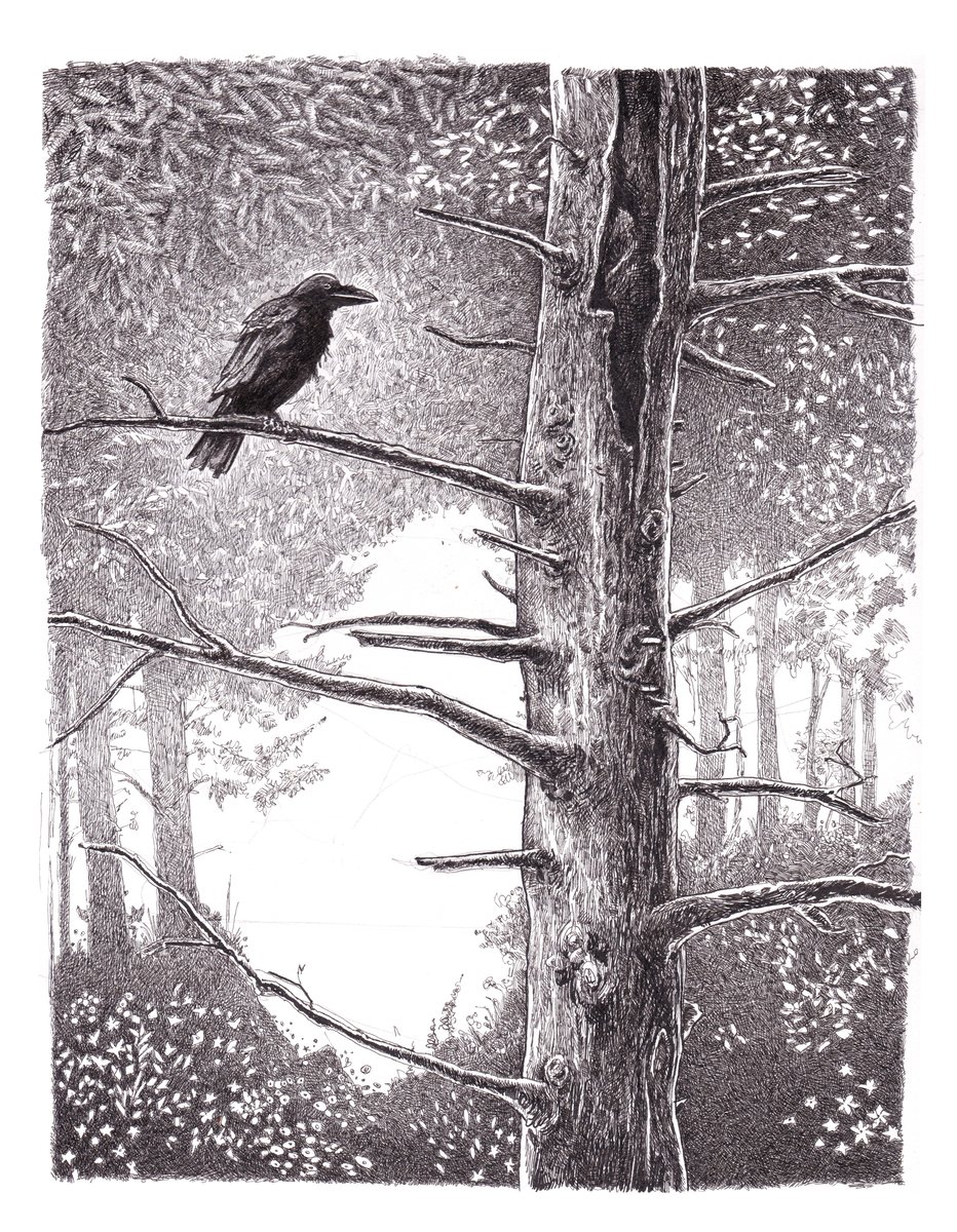 Raven in the Woods 9" X 12” | The Scow