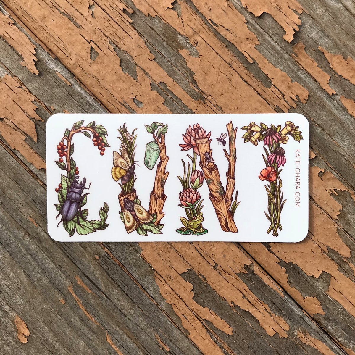 Cunt Sticker - Transparent Background | Kate O'Hara