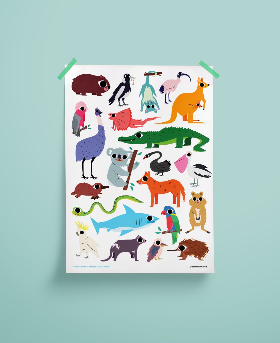 A2 Aussie Animals Poster | Samantha Curcio