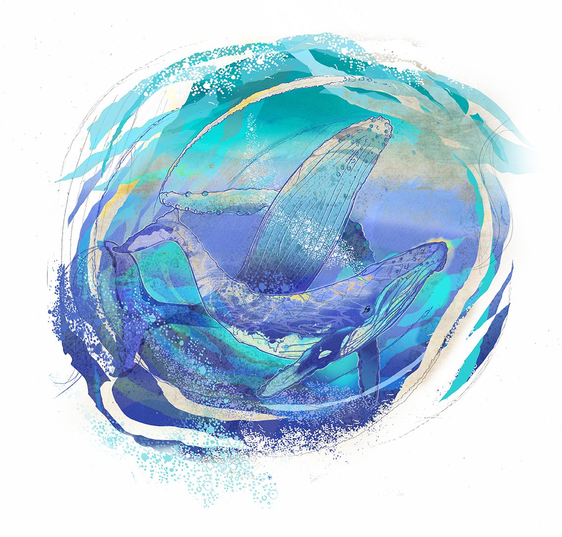 Making Waves | Shelly Perkins Wildlife Art