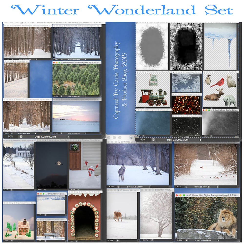 Winter & Christmas Products | Shoot for the Moon Images & Product Shop