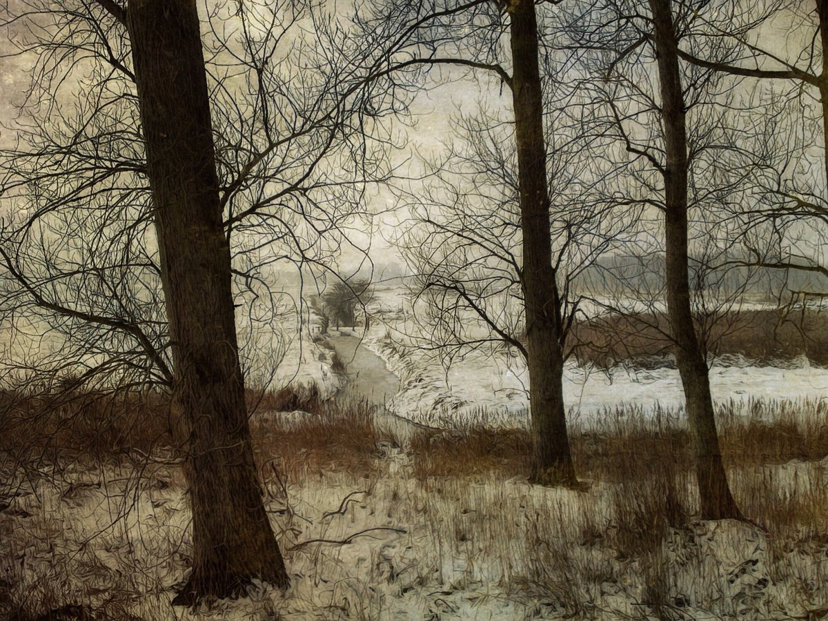 First Snow | Sarah Jarrett Art