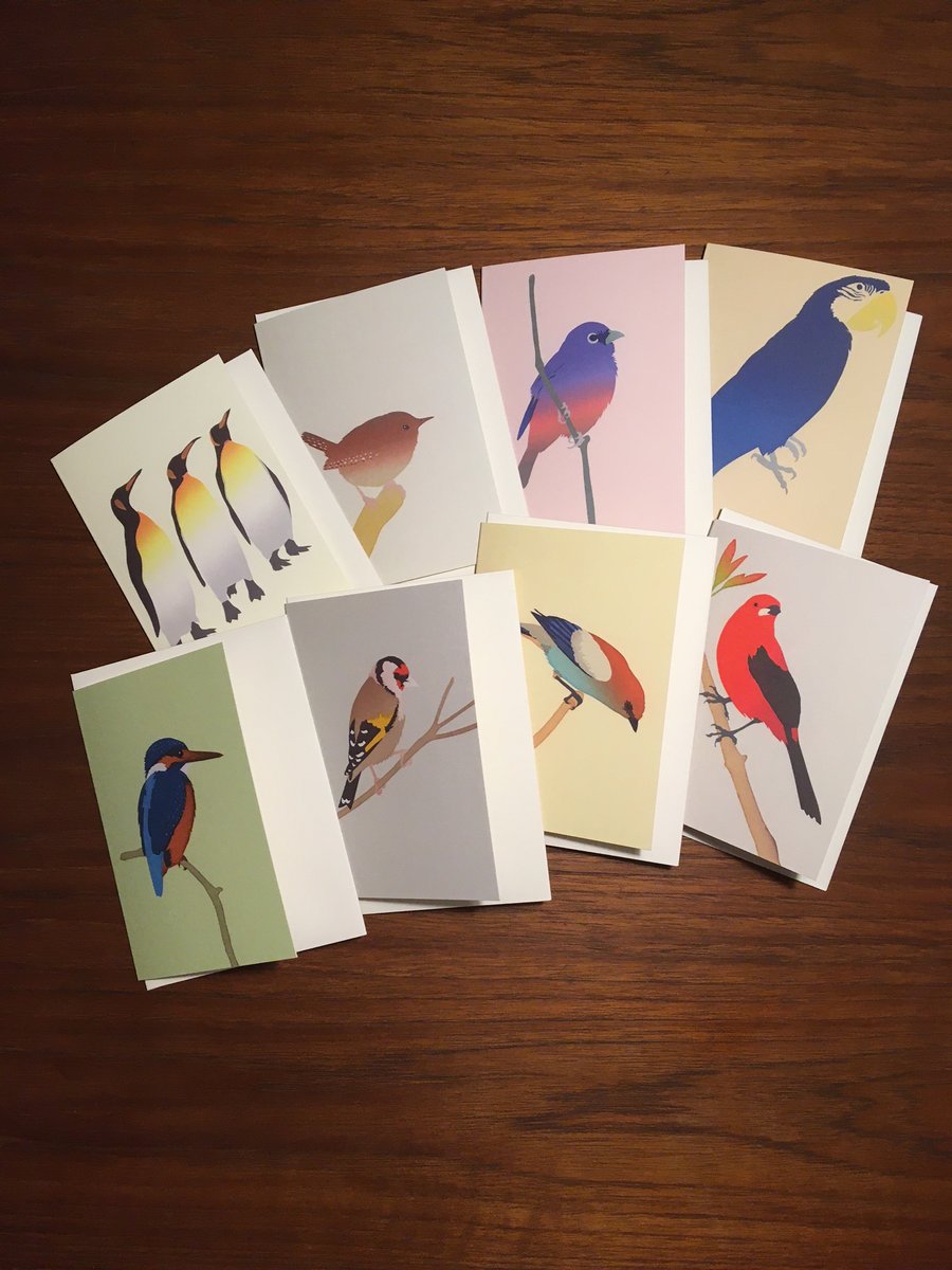 New! Pack of eight bird cards | Shop Jill