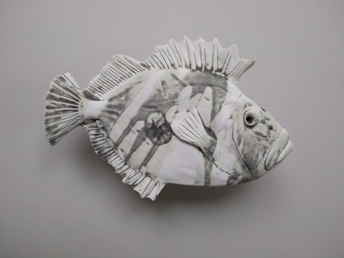 John Dory - 1 | Fiona Bates Ceramics