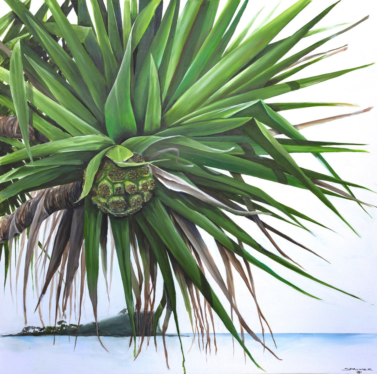 Through the Pandanus | shannonpalmer