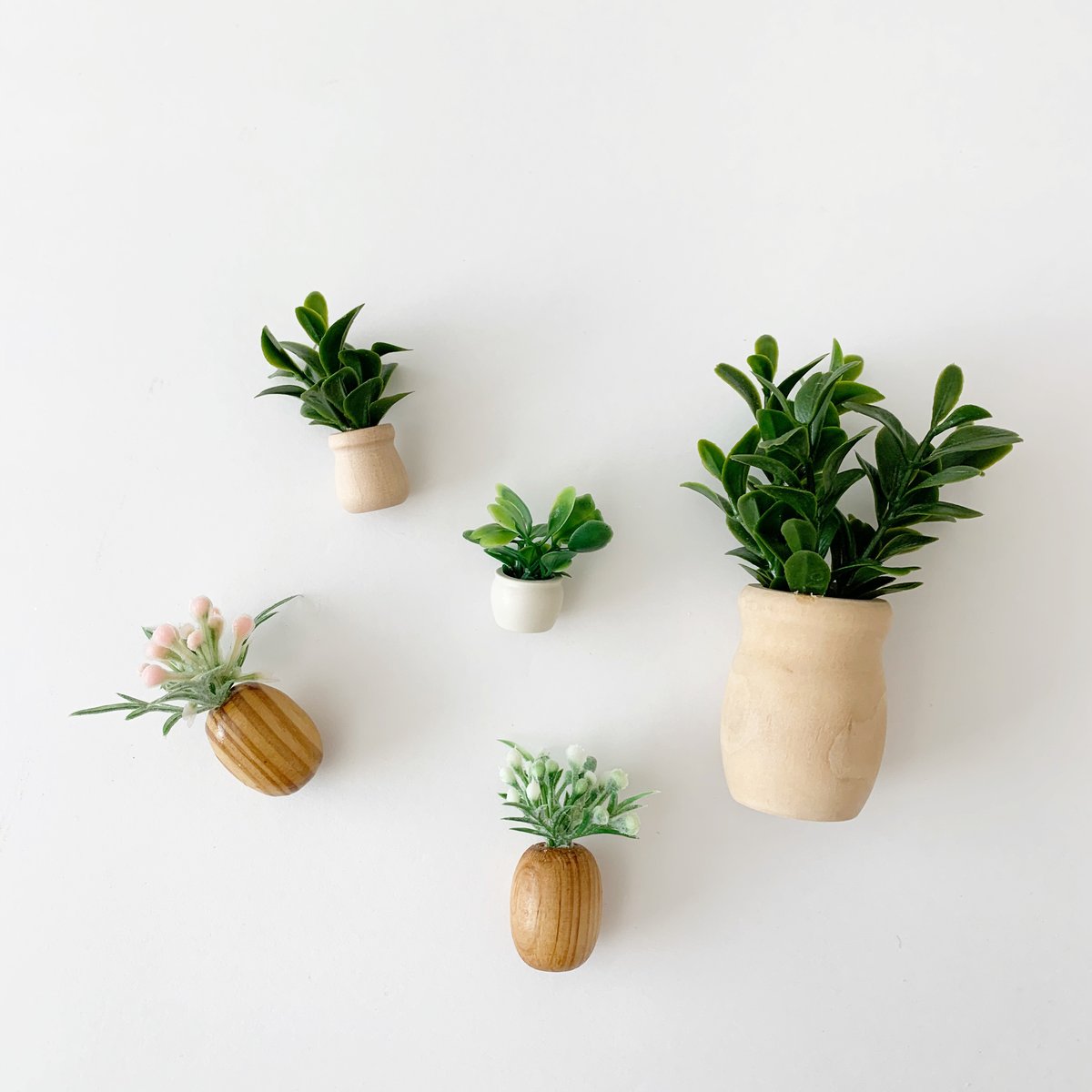 the daydream republic — Mini house plants