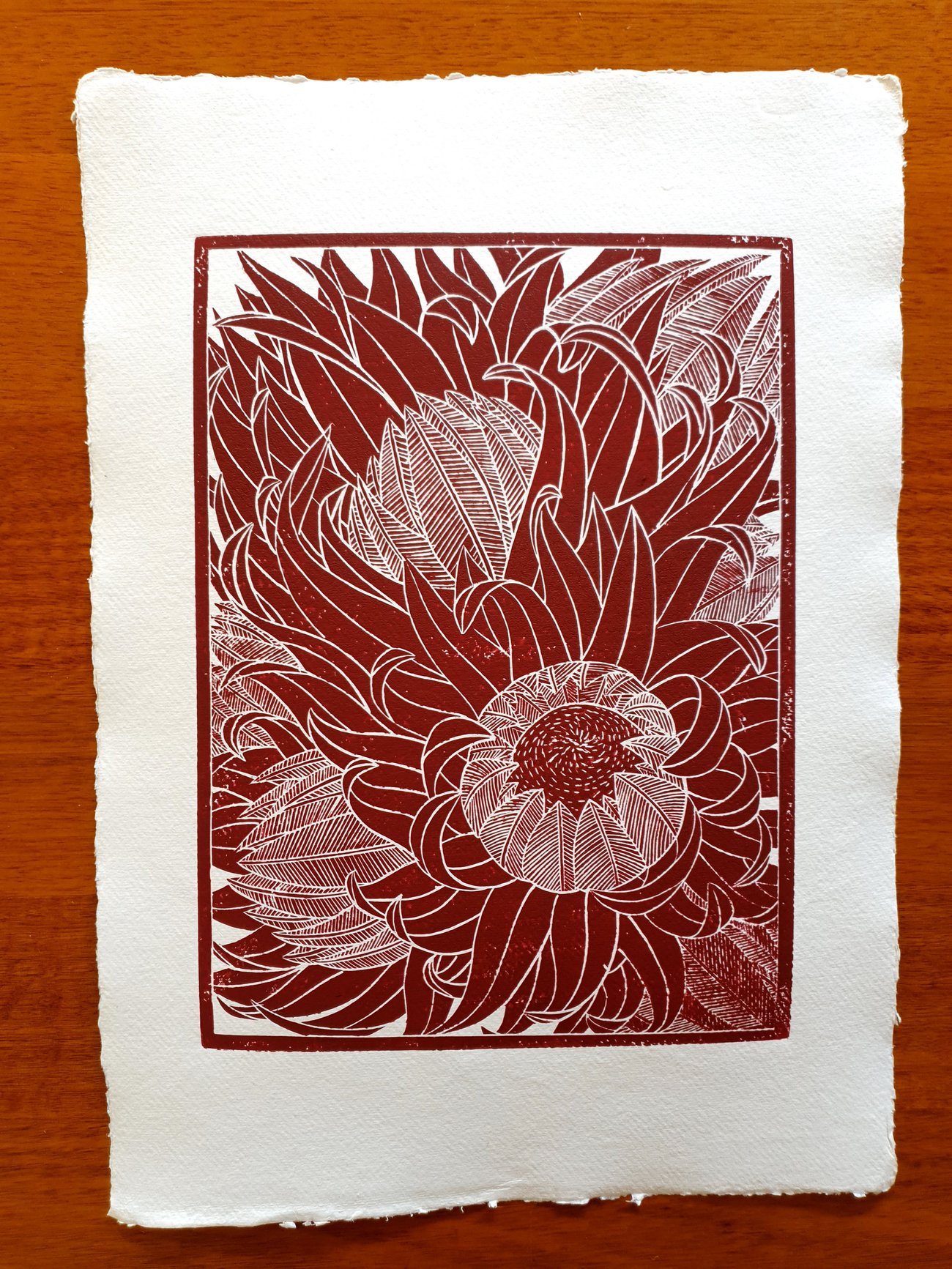 Protea | Riley Prints