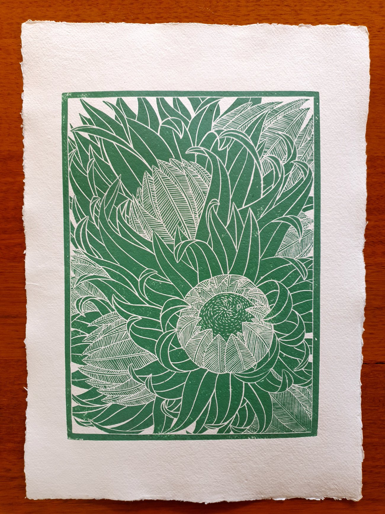 Protea | Riley Prints