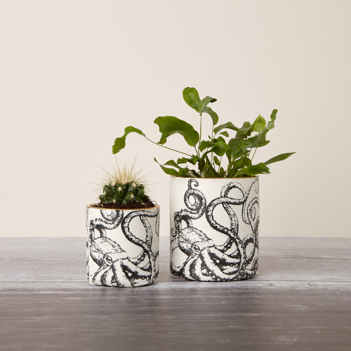 Porcelain octopus planter | Katherine Lees