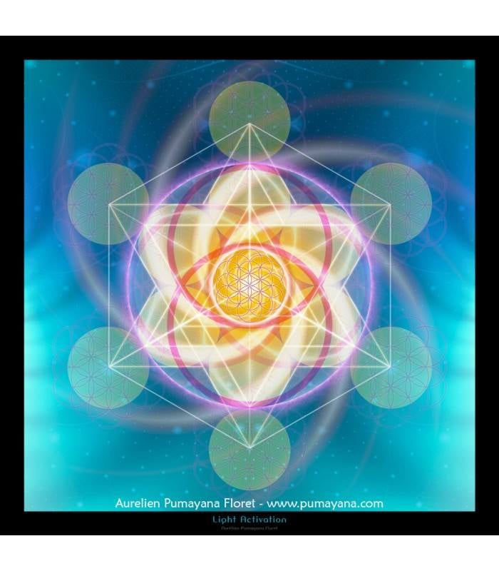 Light Activation | Freaks Spirit