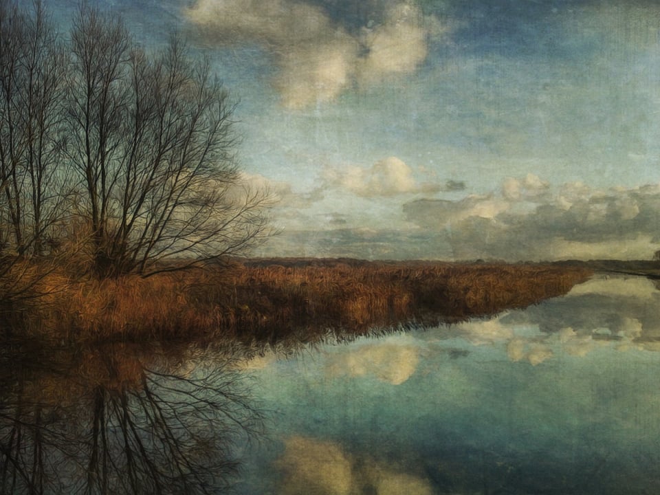 Early Summer | Sarah Jarrett Art