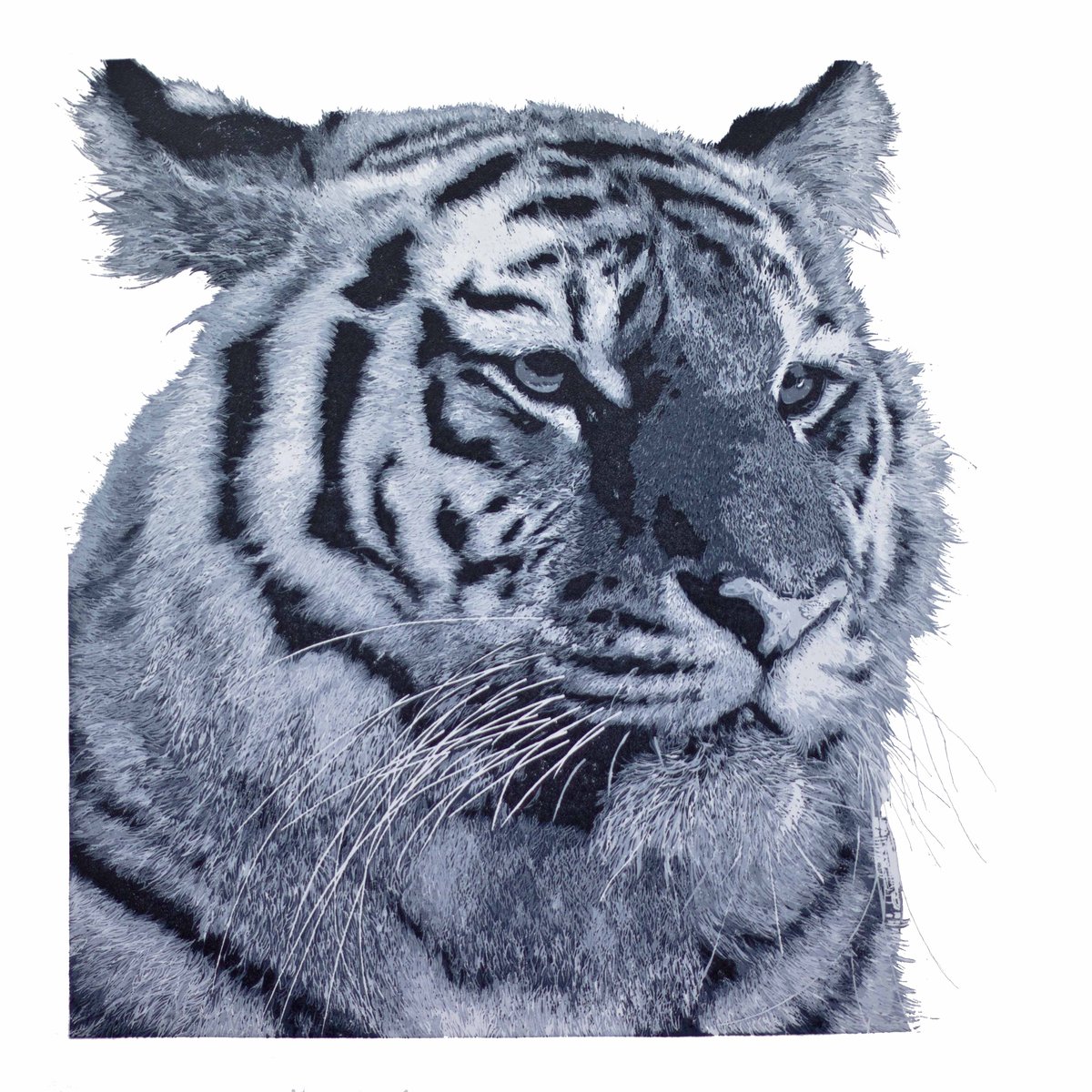 “Bring on the Year of the Tiger”, Reduction Linocut | Longhurstlino