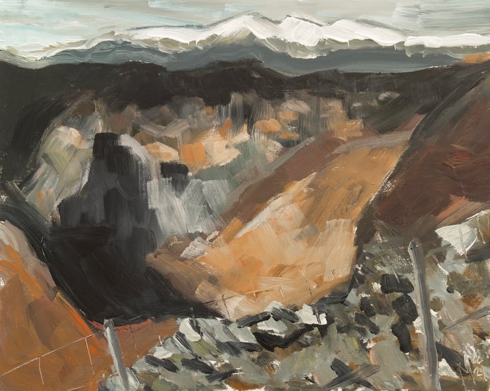 Home | Martin Evans Art