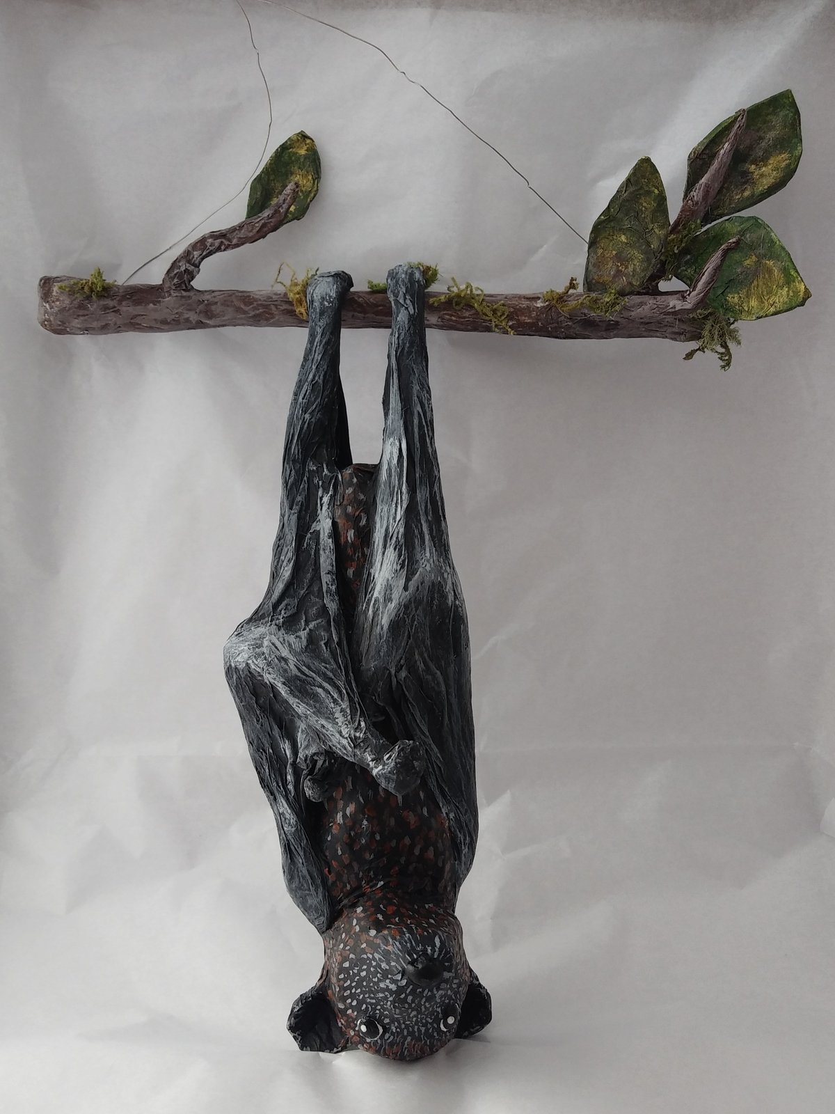 Home | casey cole art