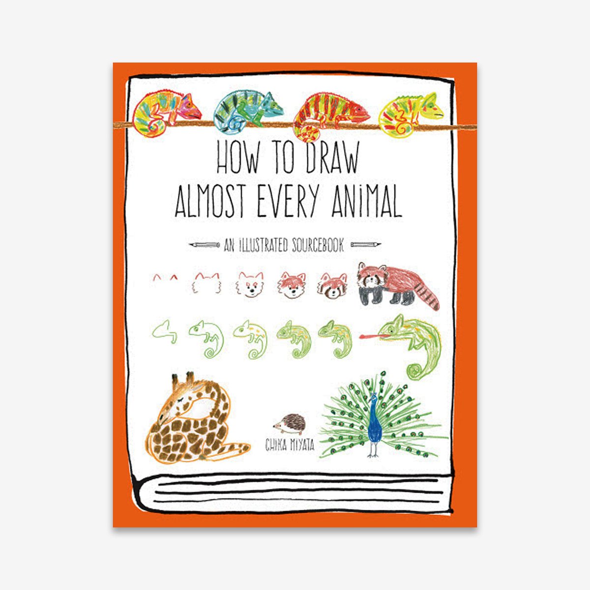 How To Draw Almost Every Animal | Happy Little Bookshop