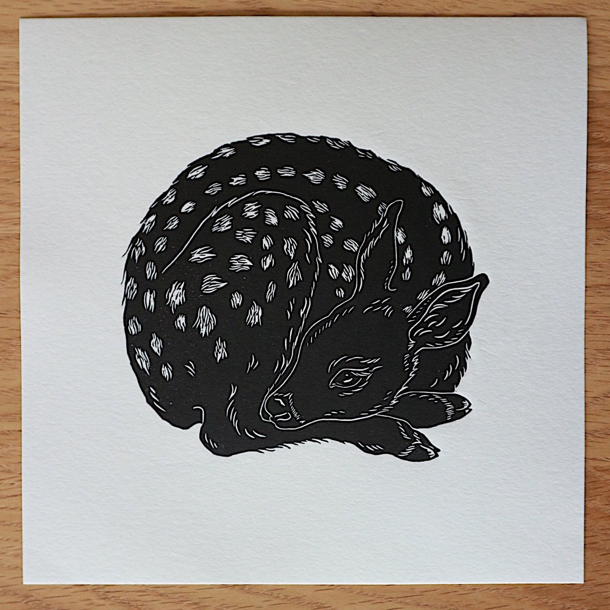 Fawn | Emily Robertson