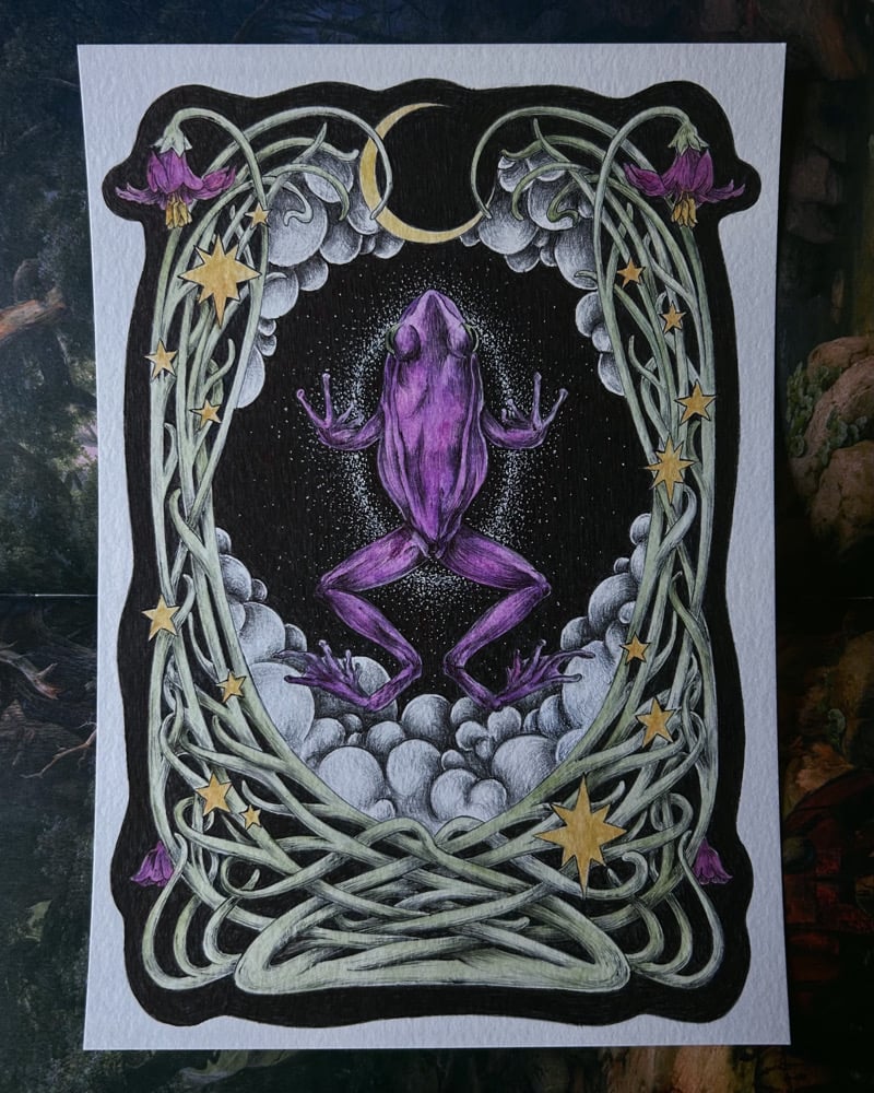 The Frog Realm | Rosie Moon Creations