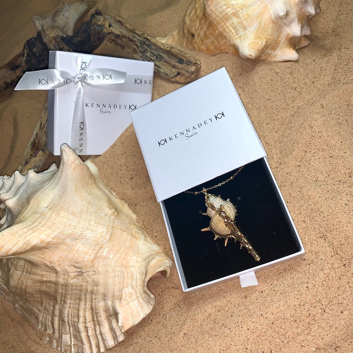 Atlantic Ocean Natural shell pendant necklace | kennadey swim